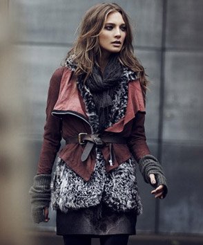 Canadienne - Ice Development